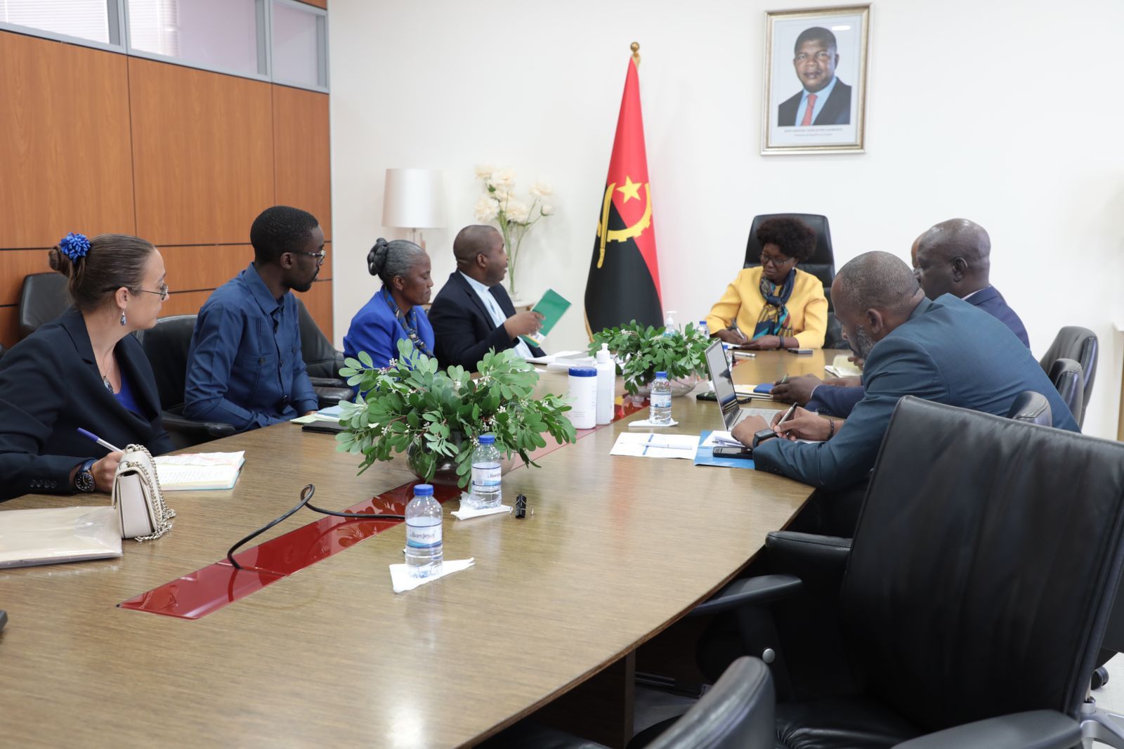 MINISTRA DA SAÚDE RECEBE EM AUDIÊNCIA MEMBROS DO CONSÓRCIO FLAME-ANGOLA ...