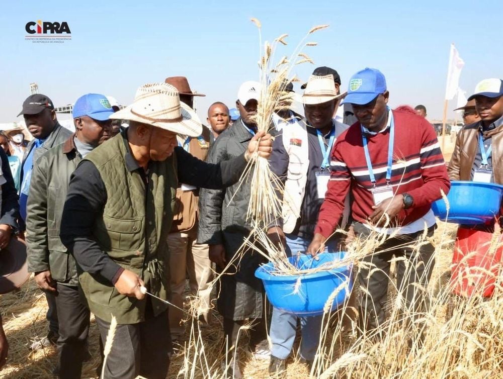 VISITA DE TRABALHO AO BIÉ - PR DÁ INÍCIO À CAMPANHA DE COLHEITA DO ...